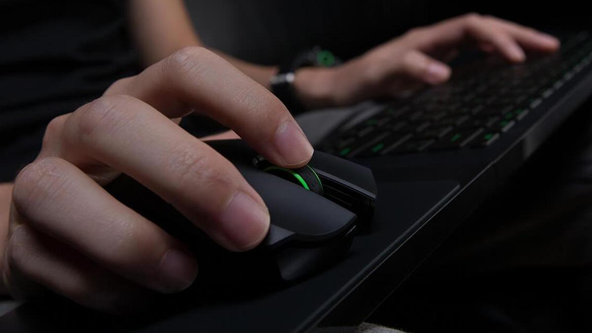 NVIDIA i gracze zebrali 83 000 złotych na Centrum Zdrowia Dziecka ...