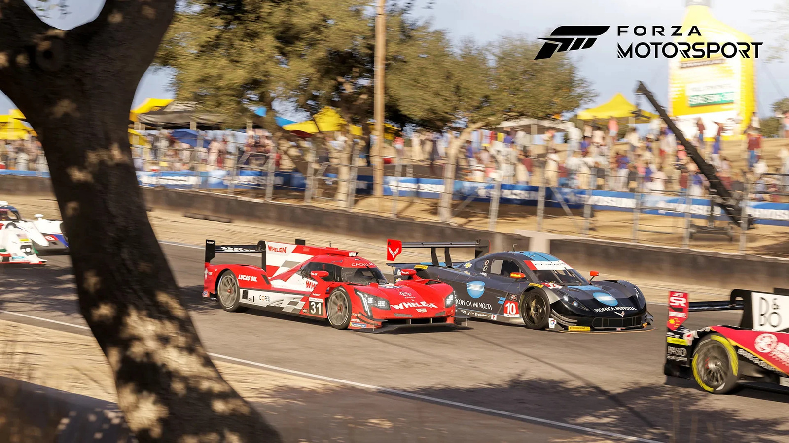 Forza Motorsport - Turn 10 pojawia się z konkretami. Kolejna odsłona ...